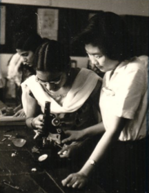 City Chapters – STS India Network